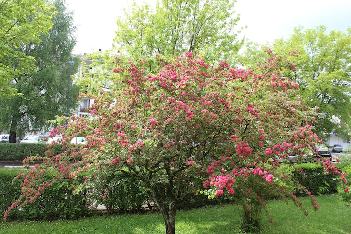 T4 70 M² Triangle D'or, 5 Minutes Du Lac - Annecy