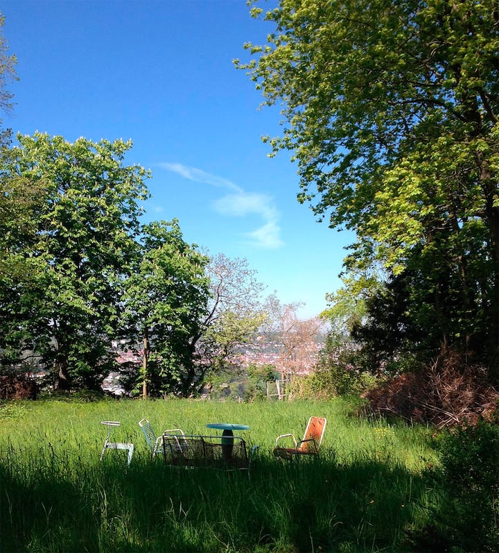 Garden With A Scenic View Over Stuttgart. - Stuttgart