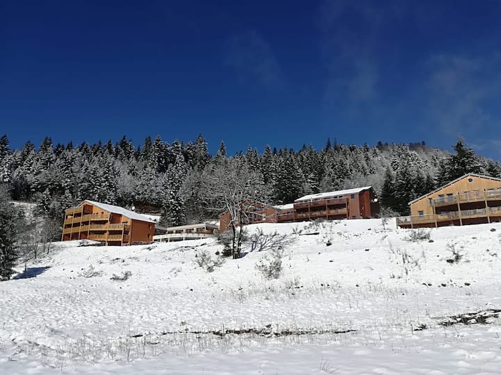 Studio à La Bresse Hohneck Au Coeur De La Nature. - La Bresse