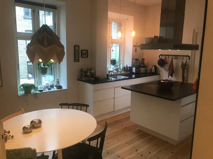 Lovely, Cozy, Quiet Apartment - Copenhague