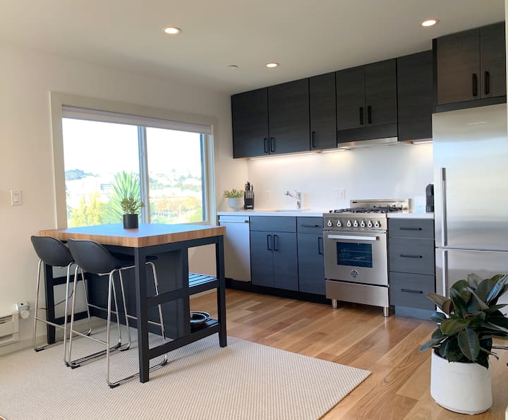 Bernal Heights Modern - San Francisco, CA