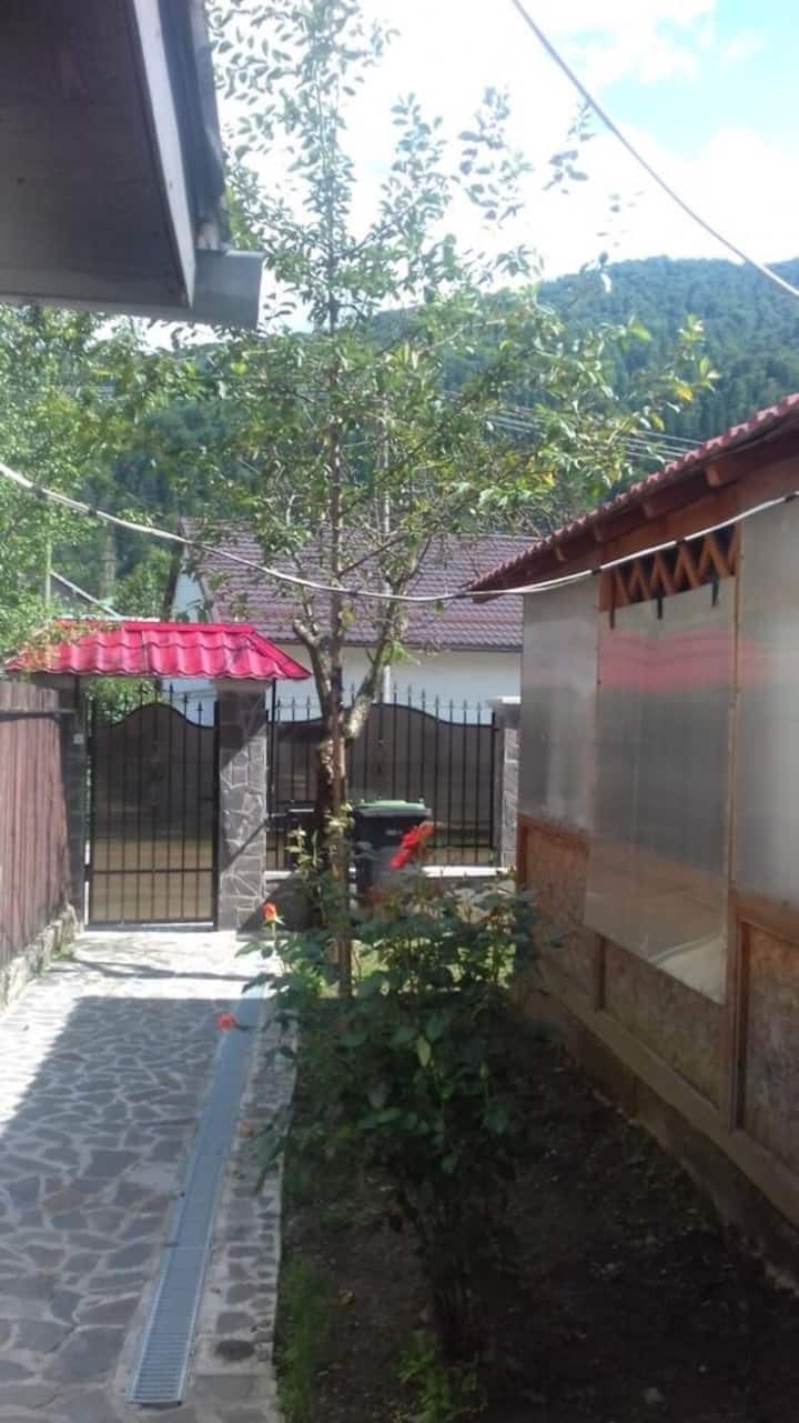 Apartament 1 Casa Medy - Predeal