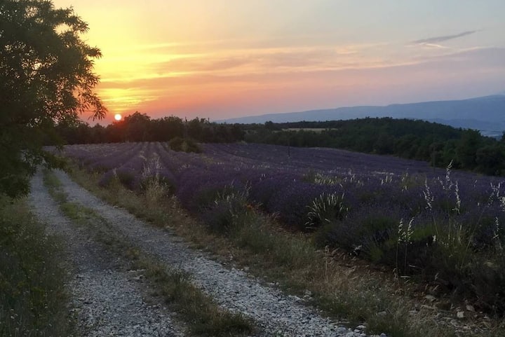 Maison Au Milieu Des Lavandes Au Cœur Du Luberon - Rustrel