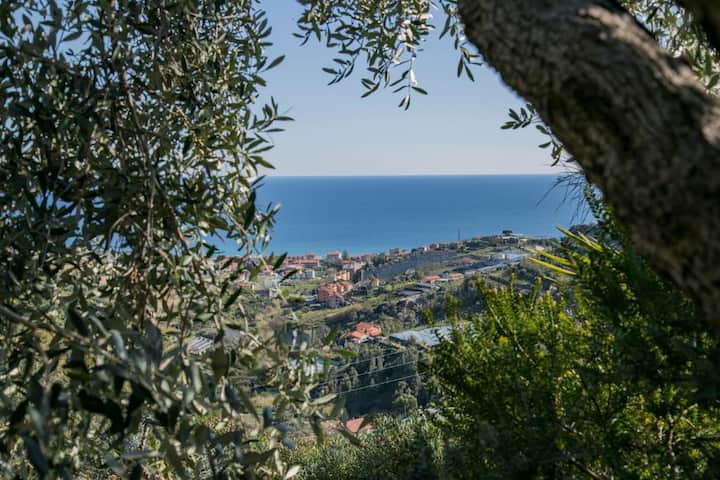 Appartamento Olivo - Taggia