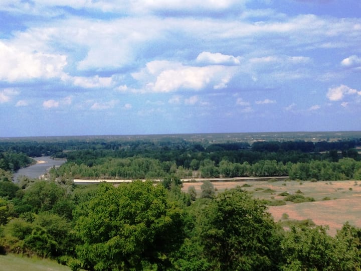 Vue Imprenable Sur La Réserve Naturelle - Varennes-sur-Allier