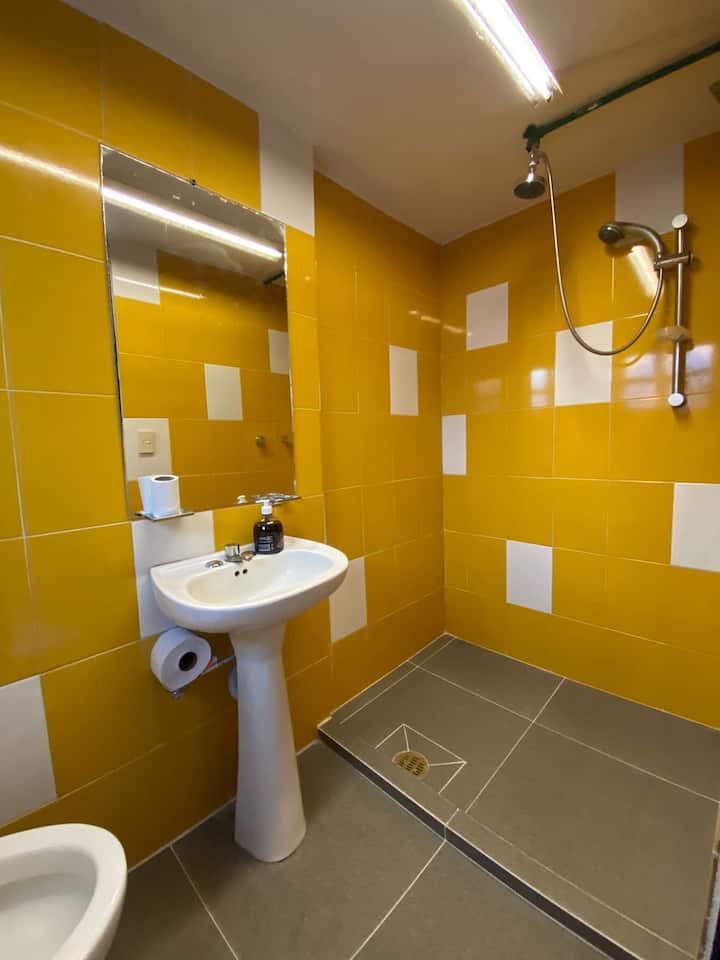 Quimera-metepec-centro - Metepec