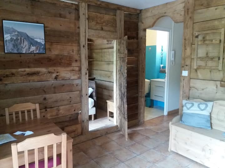 Chaleureux Et à 5 Mn Du Centre Piéton - Chamonix-Mont-Blanc