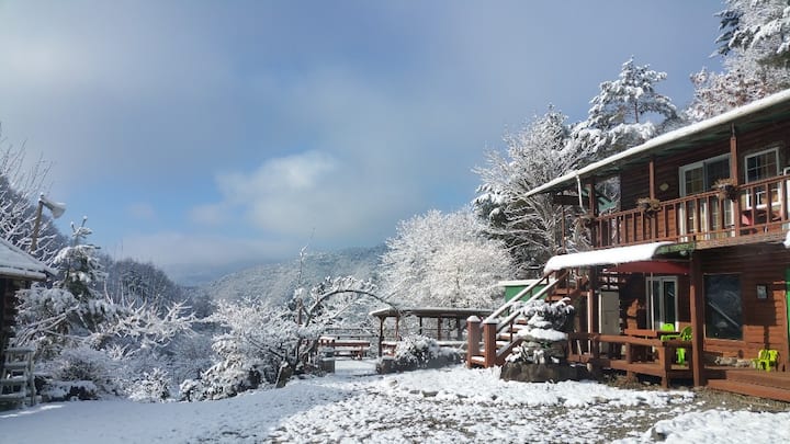 정선 약초산방 머루방(통나무집, 2명 - 정선읍