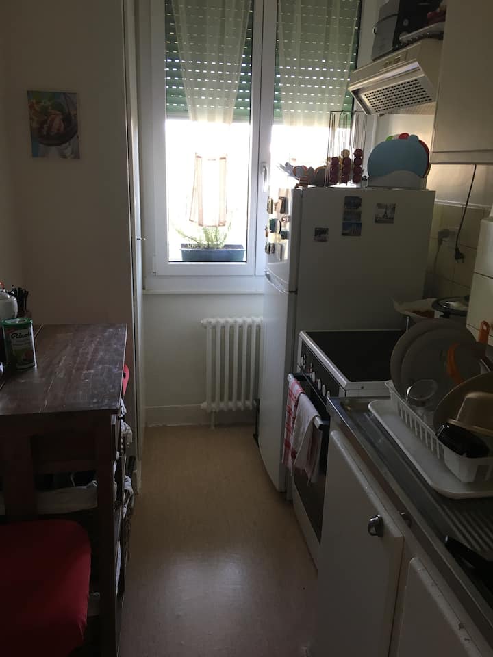 Jolie Chambre Trés Calme Private Room Quiet - 제네바