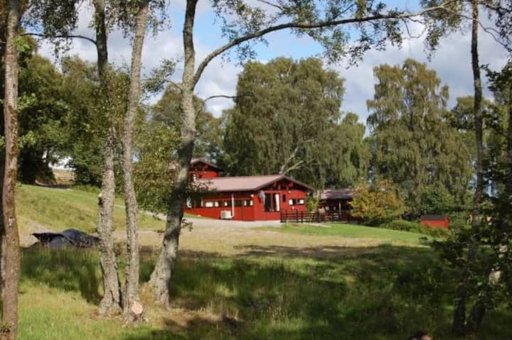 Run For The Hills! Lovely Lodge In The Highlands - Beauly