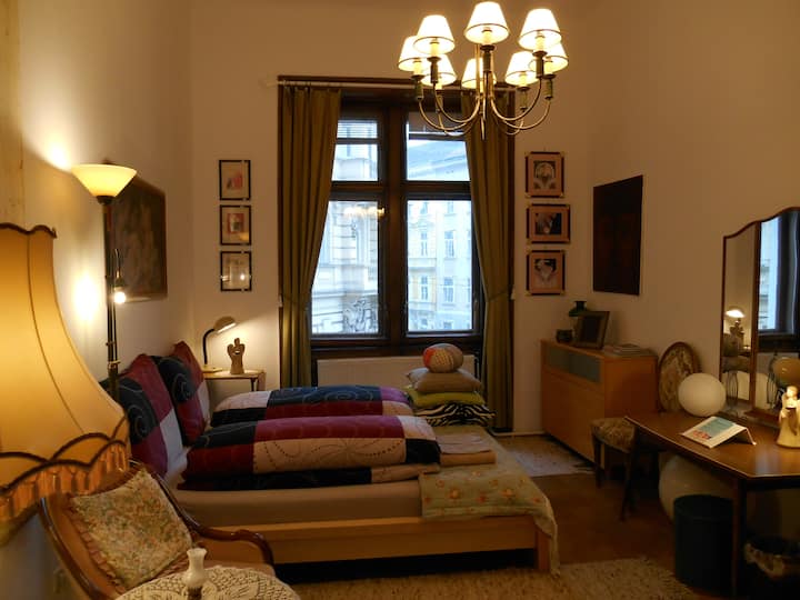 Charming Room In A Central Aristocratic Apartment - Viena