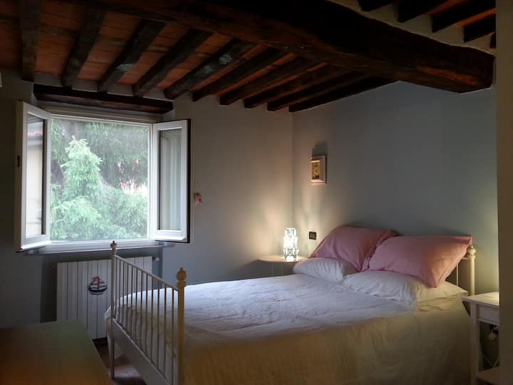 Casa Mia - Pietrasanta - Pietrasanta