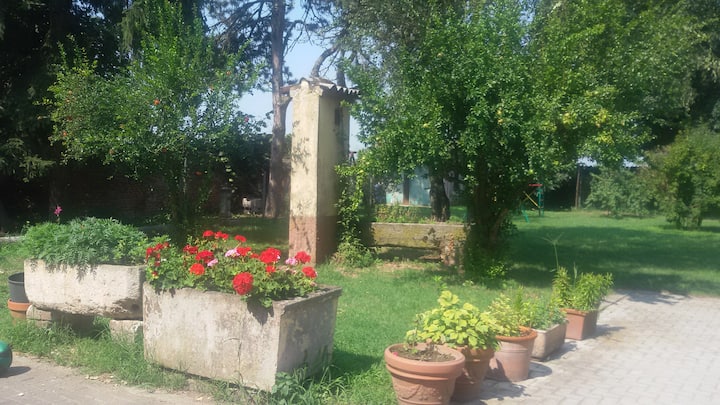Cascina Grigia
Cin :
It018110c2yrv2txxw - Marzano