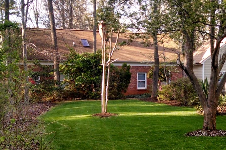 Cottage In The Woods - Wesley Chapel, NC