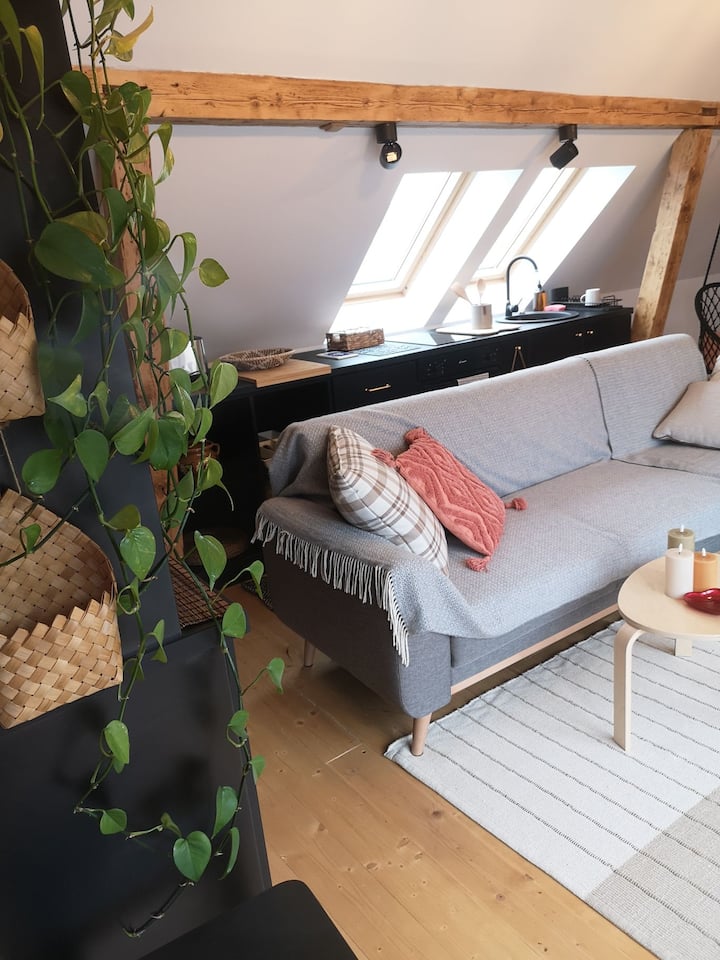 Casa Oanei. S1 - Poiana Mărului
