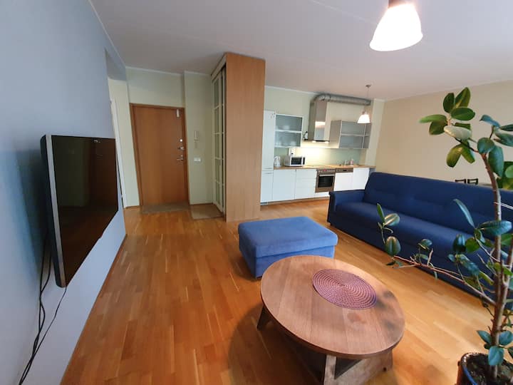 Kadriorg Apartment - Tallinn