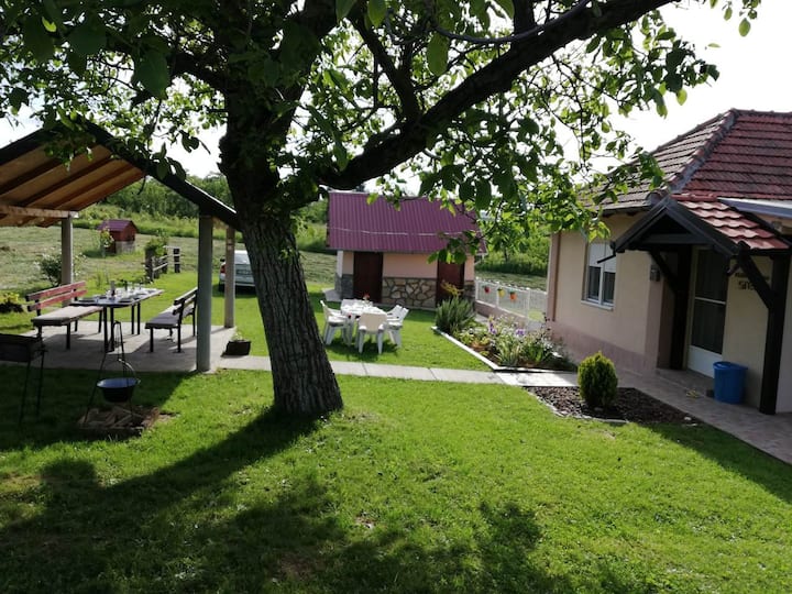 Stella Vrdnik - Vrdnik