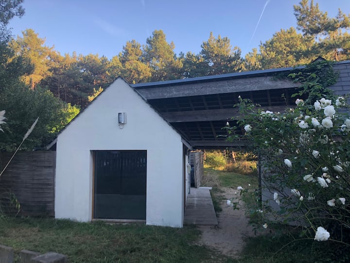 Loft Des Pins - Quend Plage