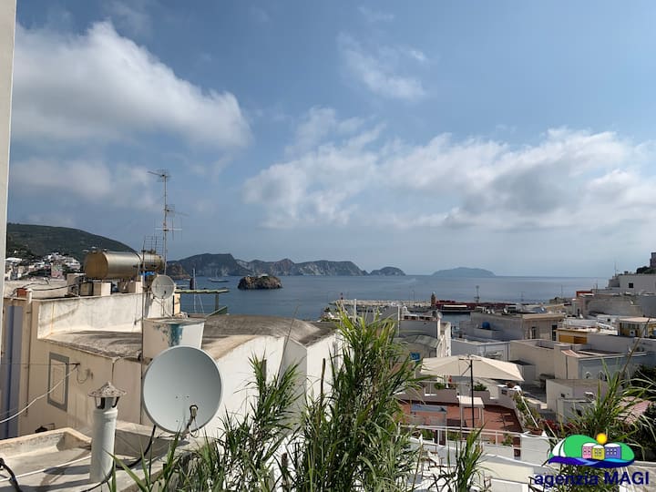 Mimosa - Ponza