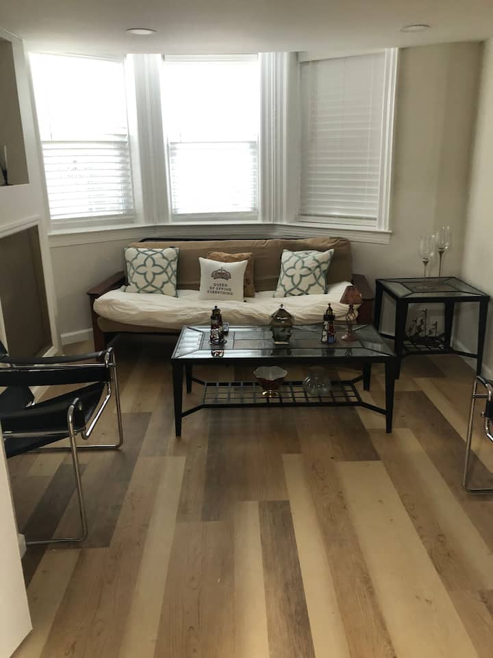 Newly Renovated Apt Near Parkchester And Bronx Zoo - Bronx, NY