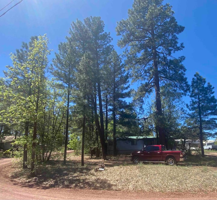 The Whittle’s Cabin, Fast Wi-fi, Pets Welcome! - Show Low, AZ