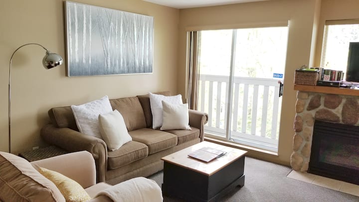 Large 2bdrm/2ba Apt, Village Cntr, Ac, Hot Tub, Fitness Cntr, Sleeps 7,sec.prkng - Whistler
