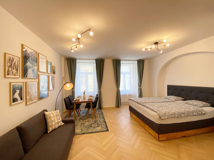 Super Cozy Studio Apartment --> Great Located! - Viena