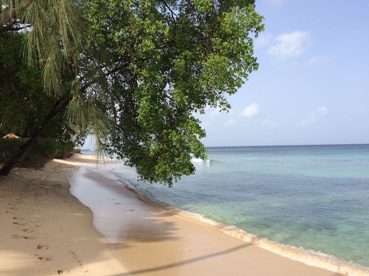 Dawne's West Coast Vacations # 12 - Barbados