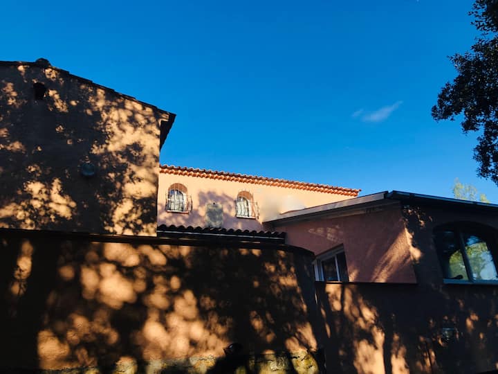 Villa Soleil Rose Bed & Breakfast - Library Suite - Lorgues
