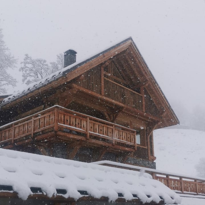 Ski And Bike Chalet Les Flandriens - Aiguebelle