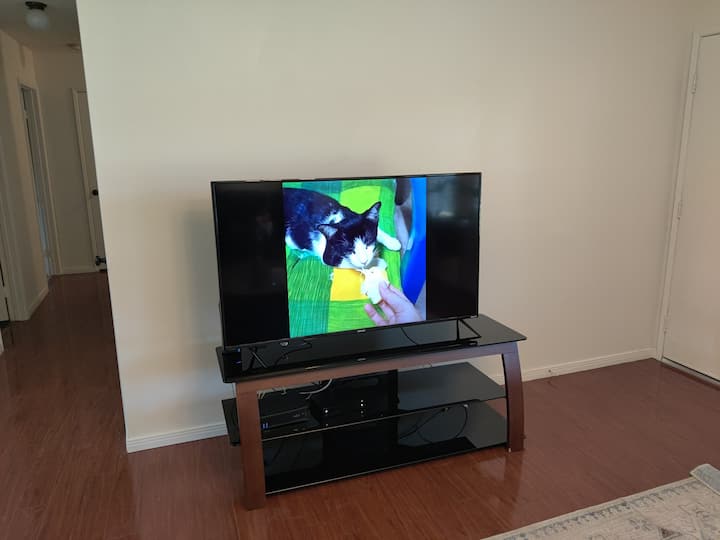 West Covina Pet Paradise 4br/2 Baths House - Hacienda Heights, CA