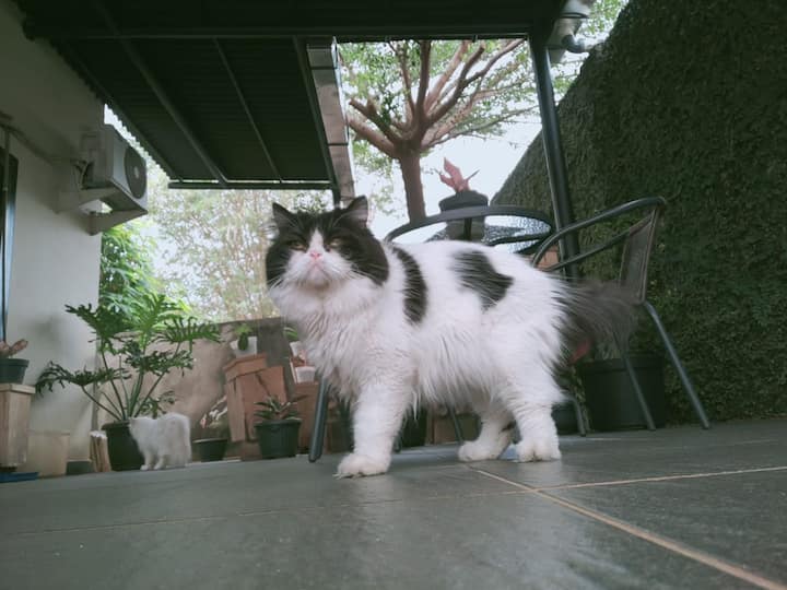 Haouse Off Beehoney - Jambi
