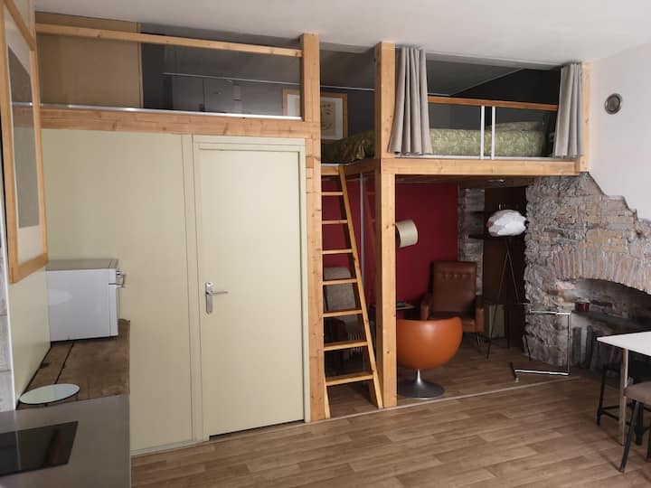Grand Studio Sur Joli Patio Fleuri - Sassenage