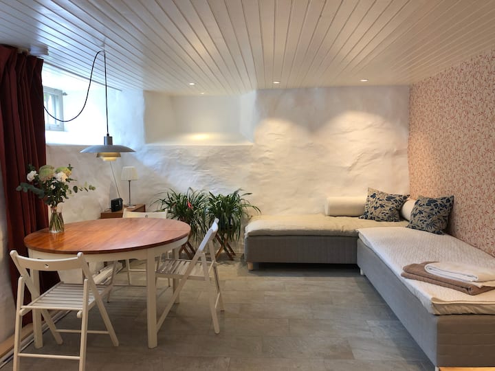 Gästlägenhet Ett Stenkast Från Slottskogen - Göteborg