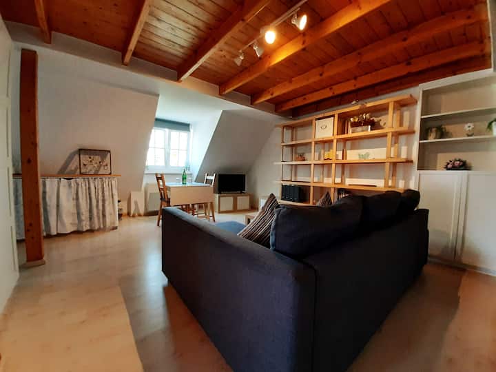 Cozy - Well-equipped Apartment Near Fairground - Essen