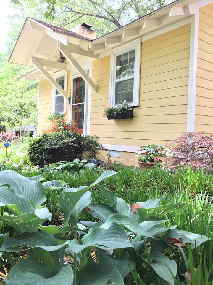 “Yellow Cottage”  10 Min Walk To Uva Graduation! - Charlottesville, VA