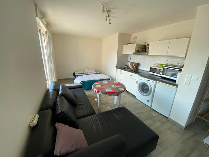 Grand Studio Calme Et Pratique - Strasbourg