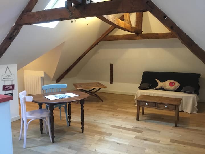 Appartement Chaleureux Sous Les Toits De Dinan. - Dinan