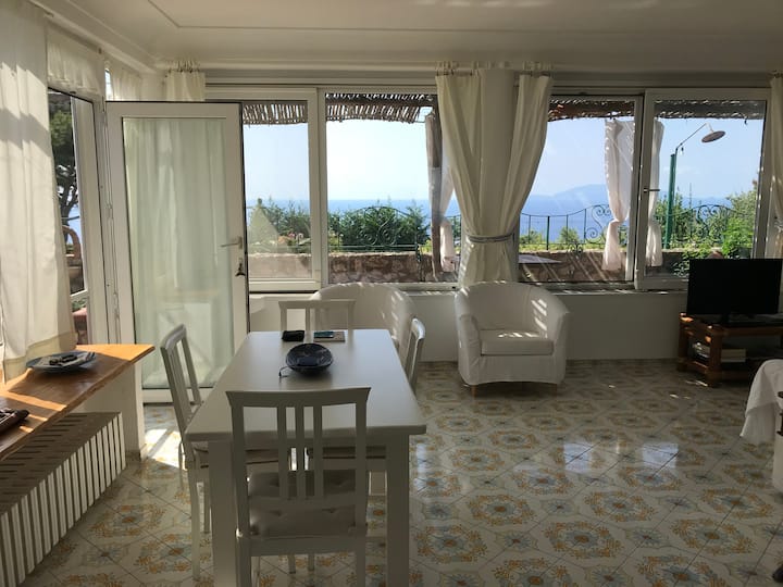 Sea And Sunset View Villa With Garden - Anacapri