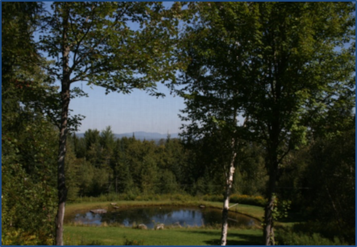 Five Trees- 10 Acres On A Mountaintop In Vermont - Elmore State Park, Elmore