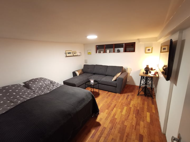 Apartment In The Heart Of Reykjavík (108 Rvk) - Reikiavik