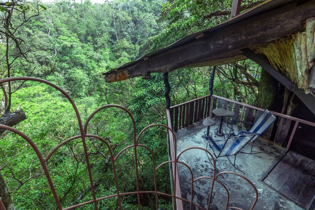 Treetop House - Charming Artistic - Houses for Rent in Monteverde ...