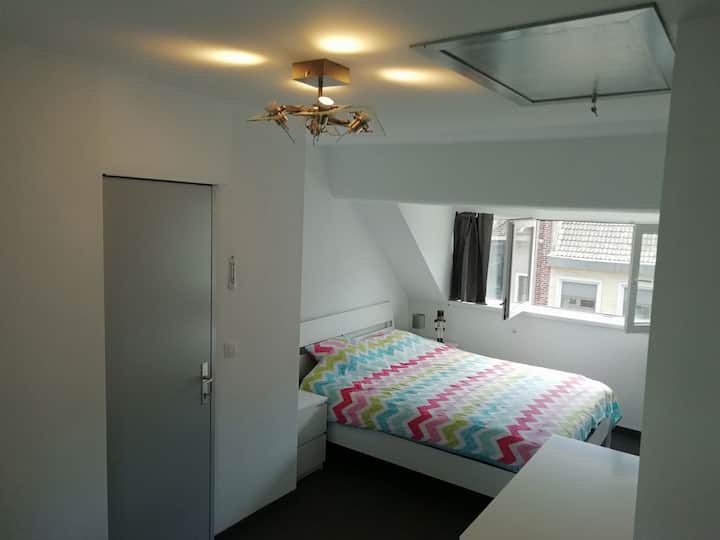 Seagull's Nest - Ostend