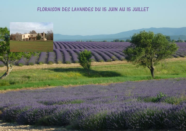 Maison Proche Du Lac-st-croix-du-verdon - Bauduen