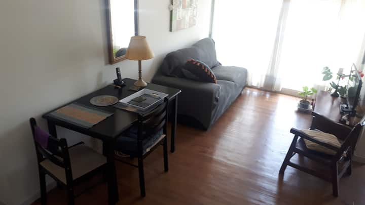 Hermoso Apartamento En Montevideo - Montevideo