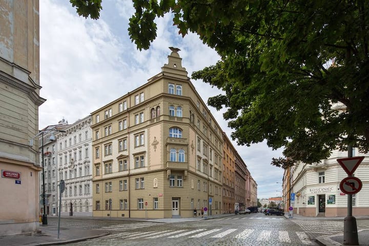 Riverside Area Apartment Near The Dancing House! - Prague