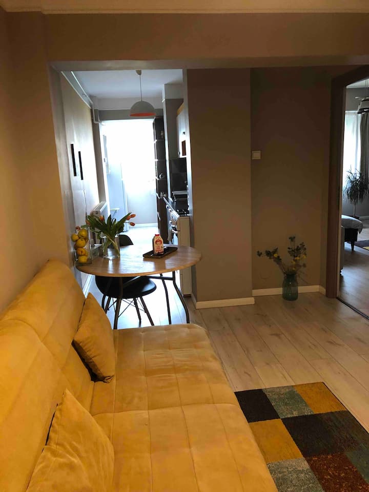 Cipariu Apartment - Cluj-Napoca