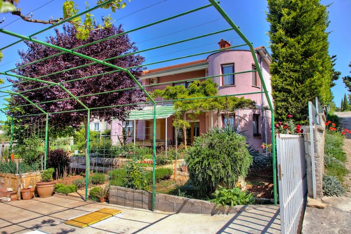 Lovely Studio And Bikes In Greenness - Pula
