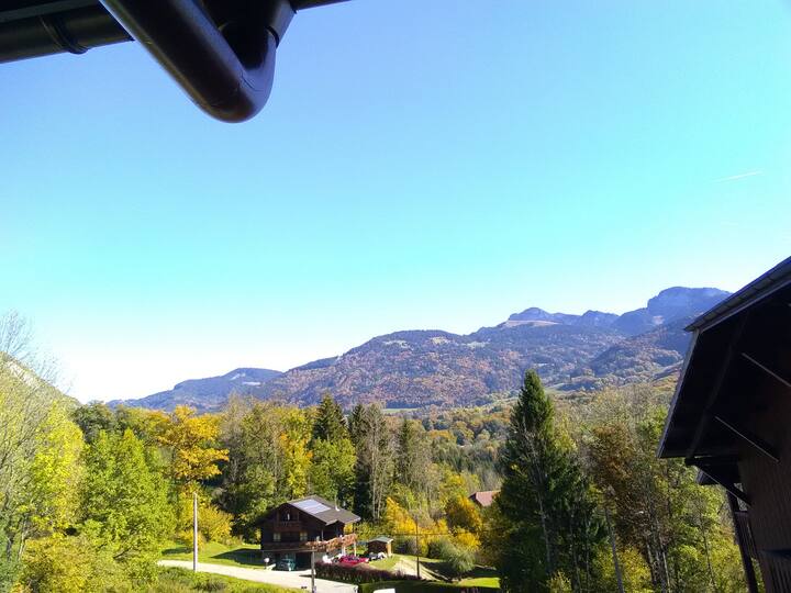 Studio à 900m D'altitude - Praz de Lys Sommand