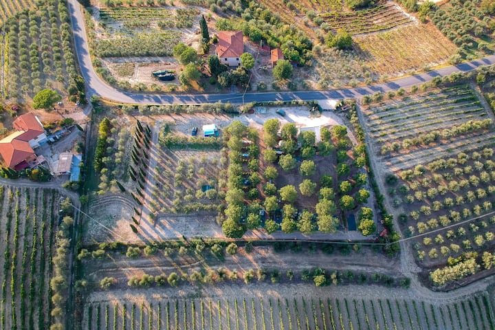 Agricamping Tra Le Colline Per Tende, Van E Camper - Certaldo